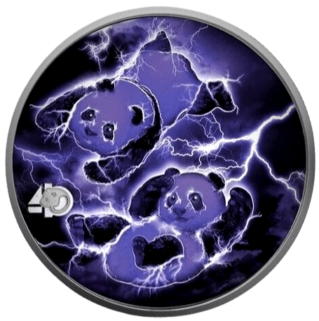 30g Silver China Panda 40th Anniversary – Storm Edition 2022 .999 ...